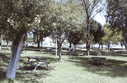 Requalificação do Parque de Santa Maria Adelaide e Envolvente ...